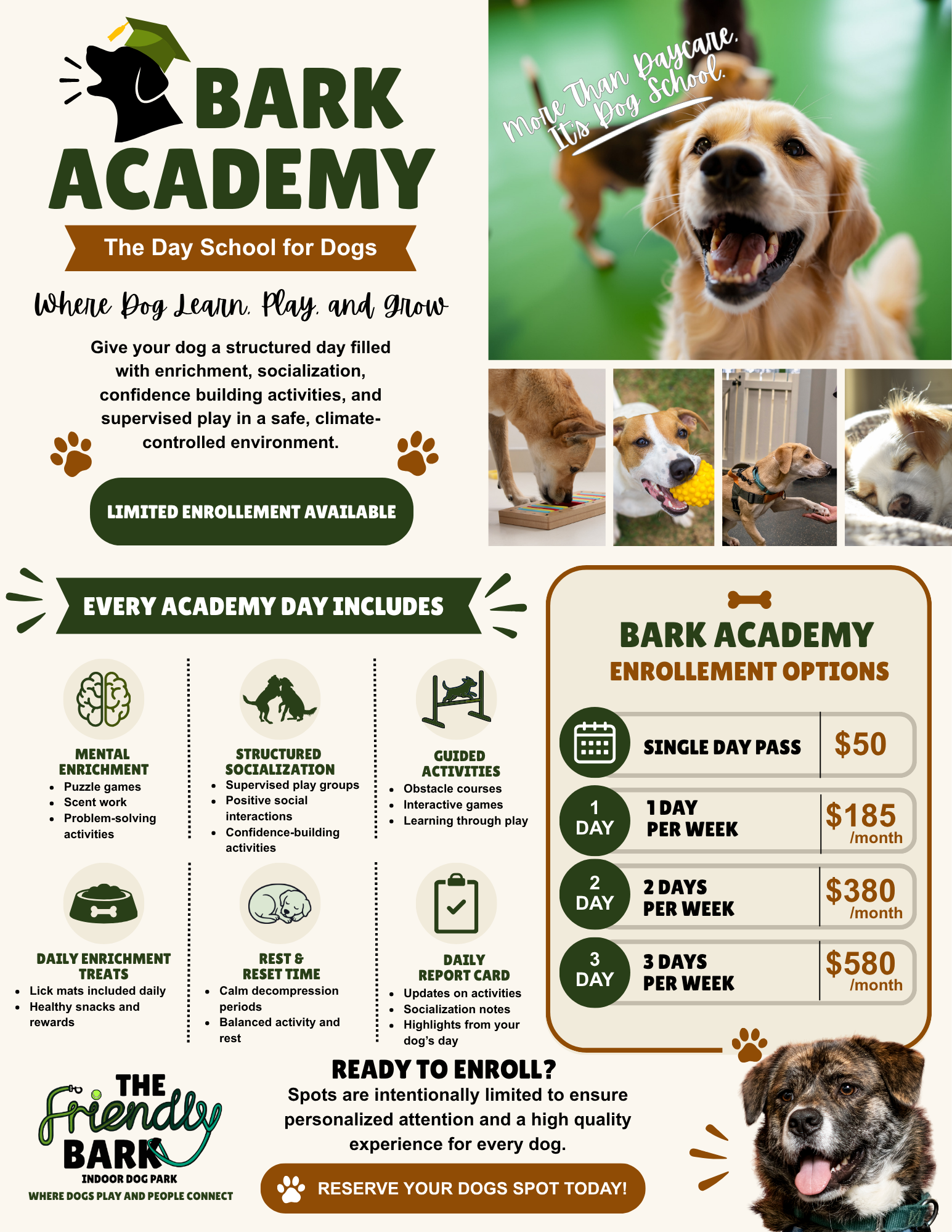 My Bark Academy - The Friendly Bark